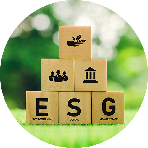 ESG - the three dimensions of sustainability - AvS Advisors